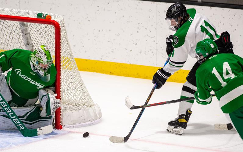 Wolverines take season opener 4-2 over Raiders | Featured ...