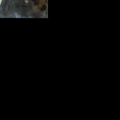 Jane Latimer Stevenson | Obituaries | messenger-inquirer.com