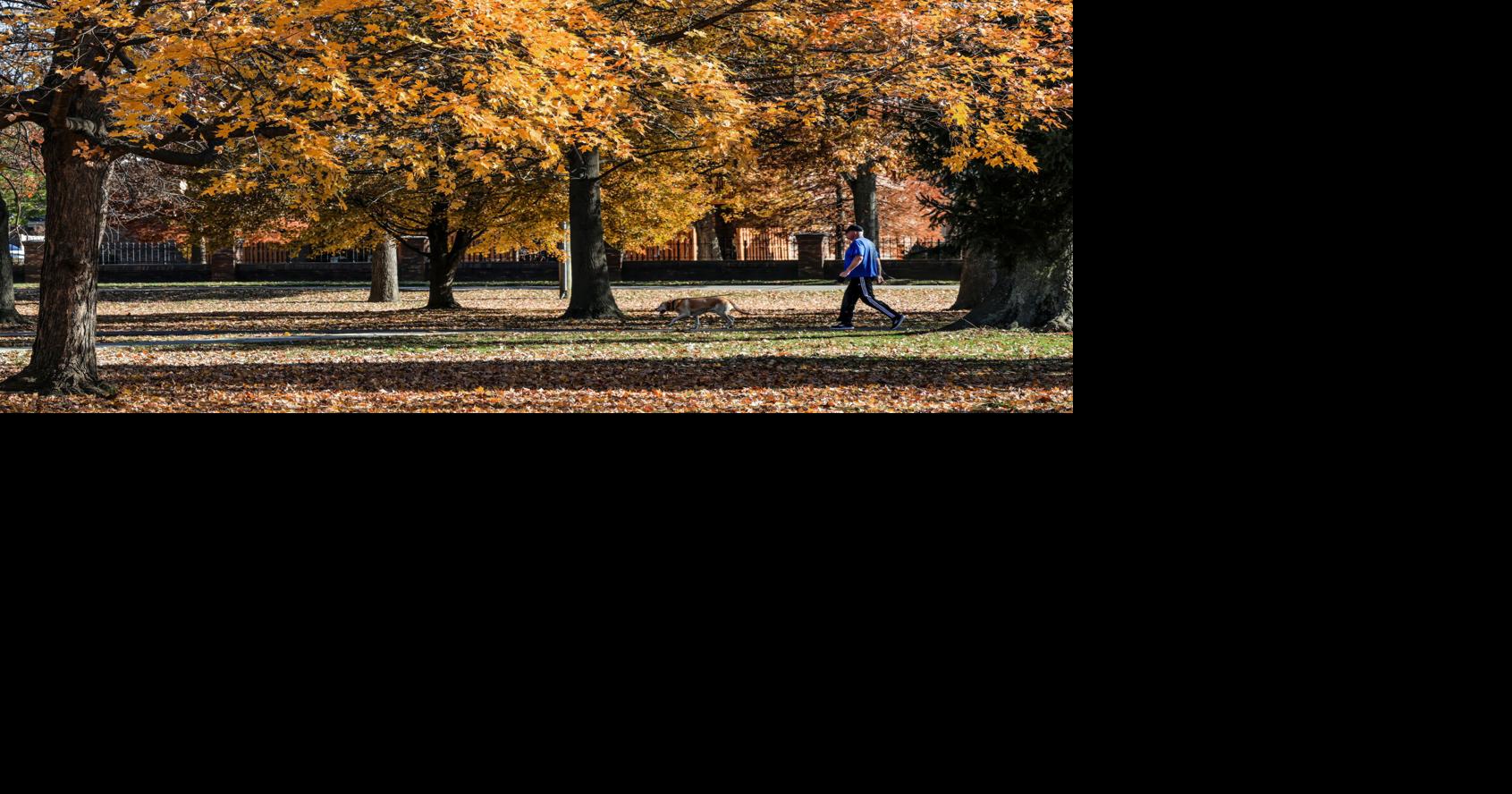 Fall Walk in the Park | Local News | messenger-inquirer.com