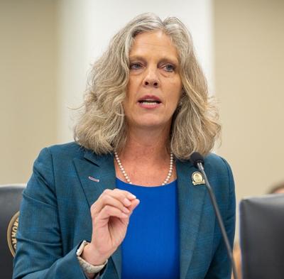 Birthing centers discussed at Certificate of Need Task Force meeting ...