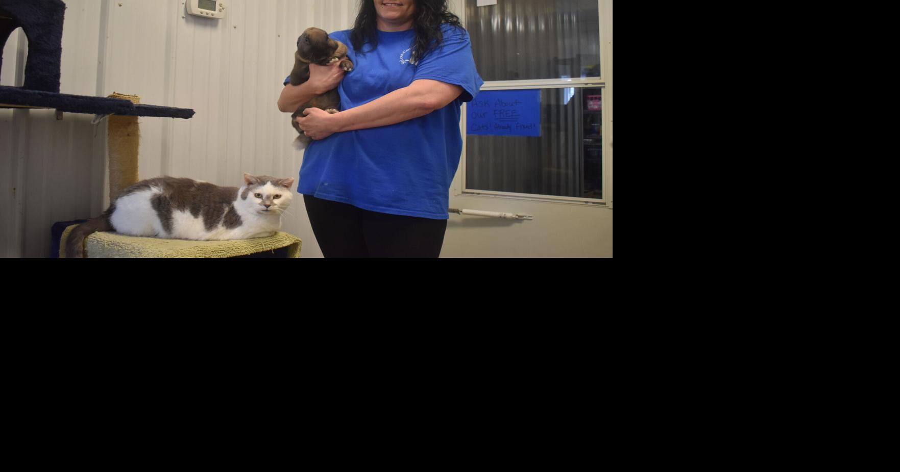 Cats remain 'big issue' for county | Mclean County | messenger-inquirer.com