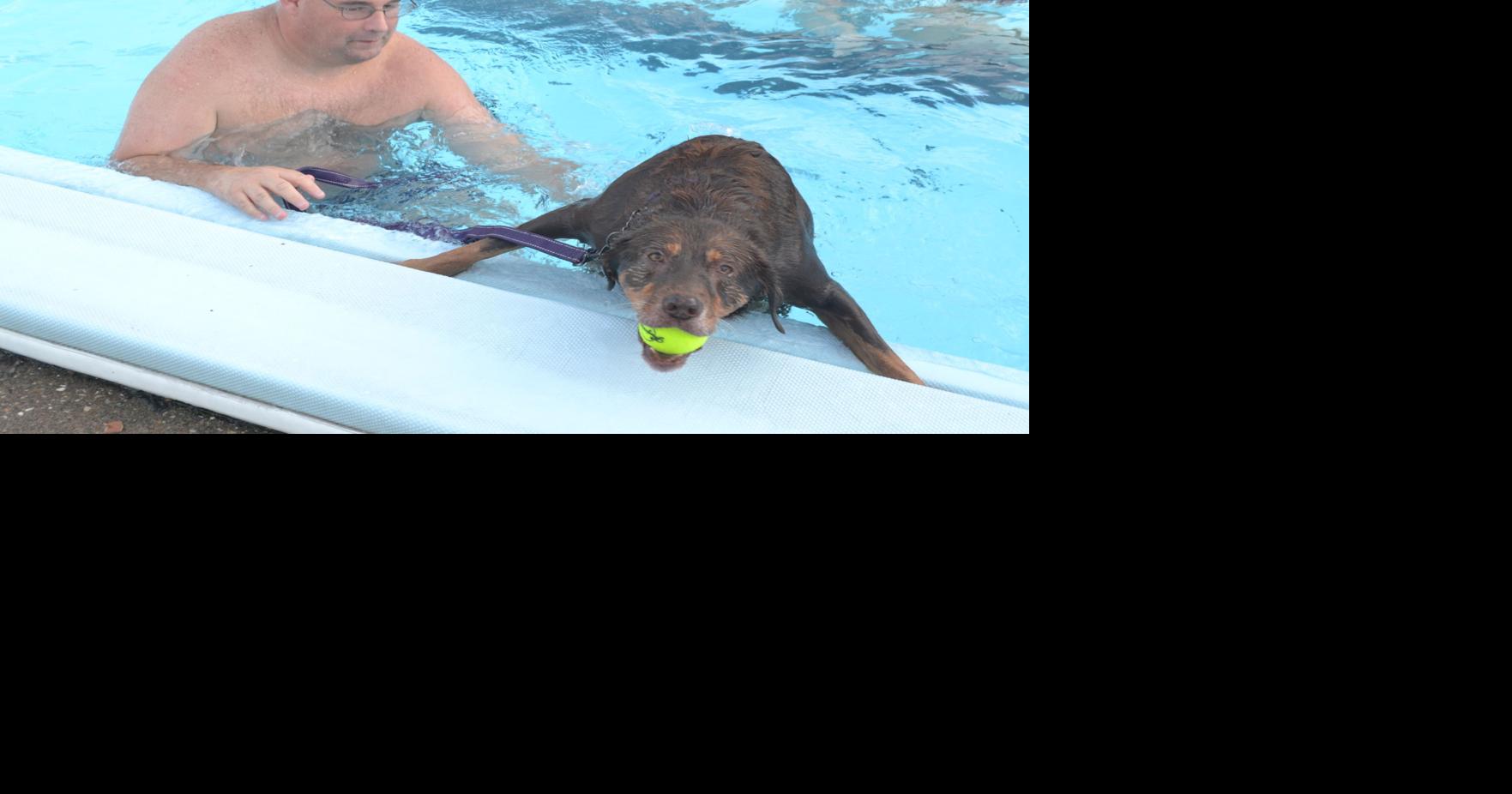Pooches at the Pool: Families celebrate at Gone to the Dogs | News ...