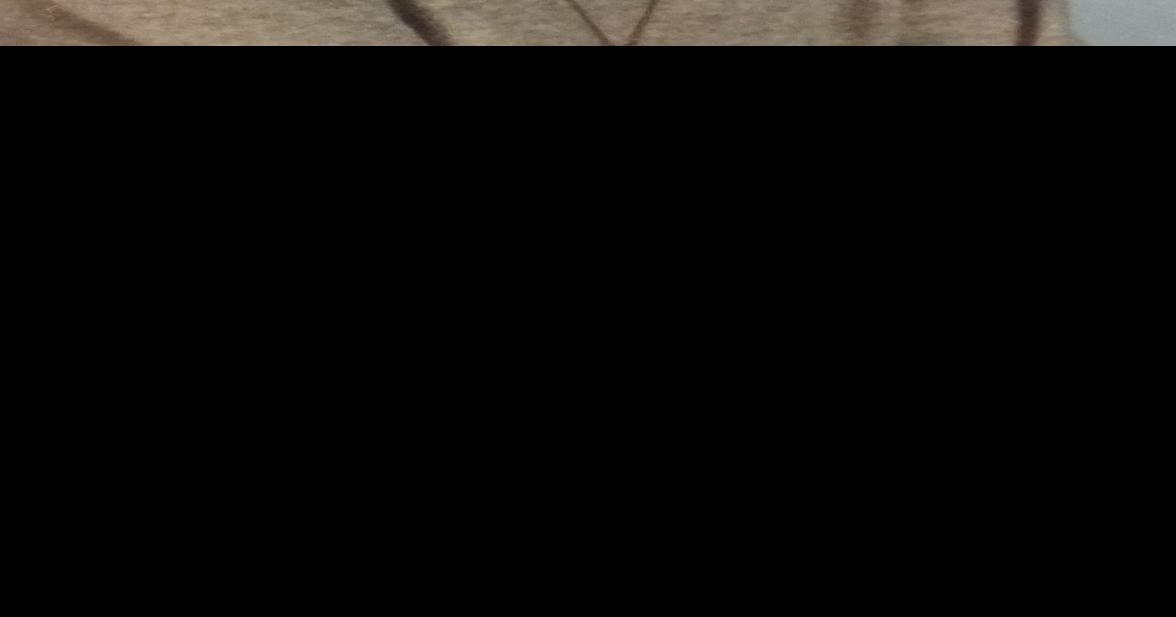 Ann Robards Ferguson | Obituaries | messenger-inquirer.com