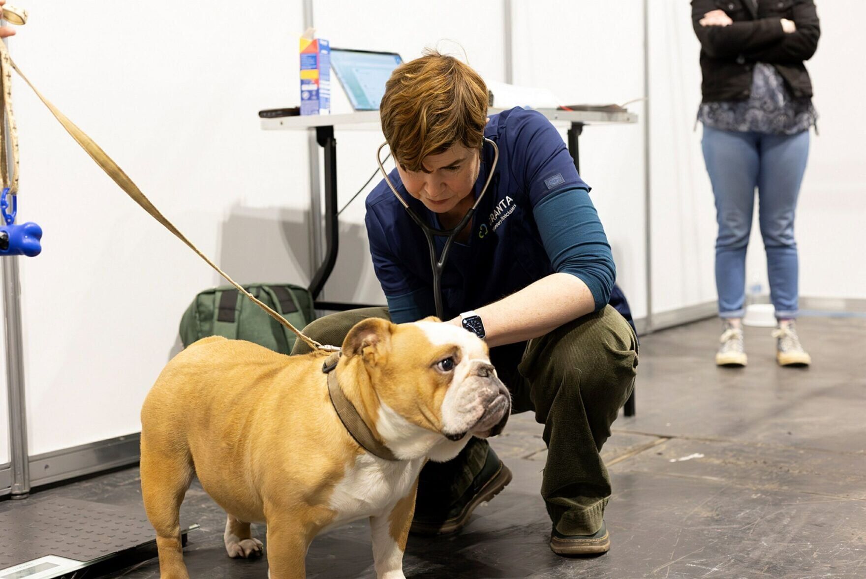 Study reveals how to protect dogs from deadly breathing condition ...