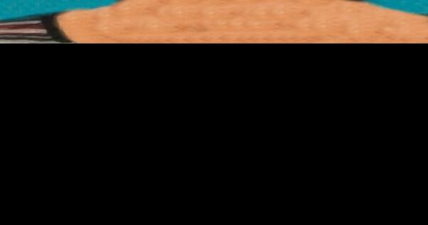 Cindy Hallock Bartlett | Obituaries | messenger-inquirer.com