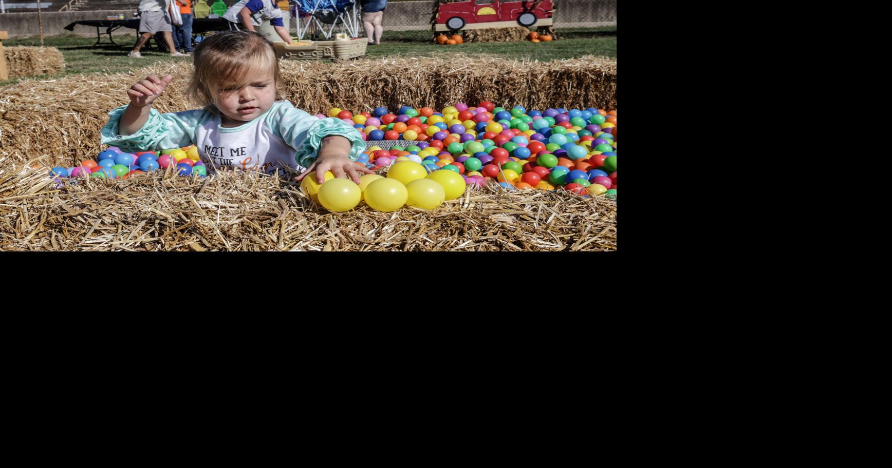 Harvest Festival takes over Daviess County Lions Club Fairgrounds ...