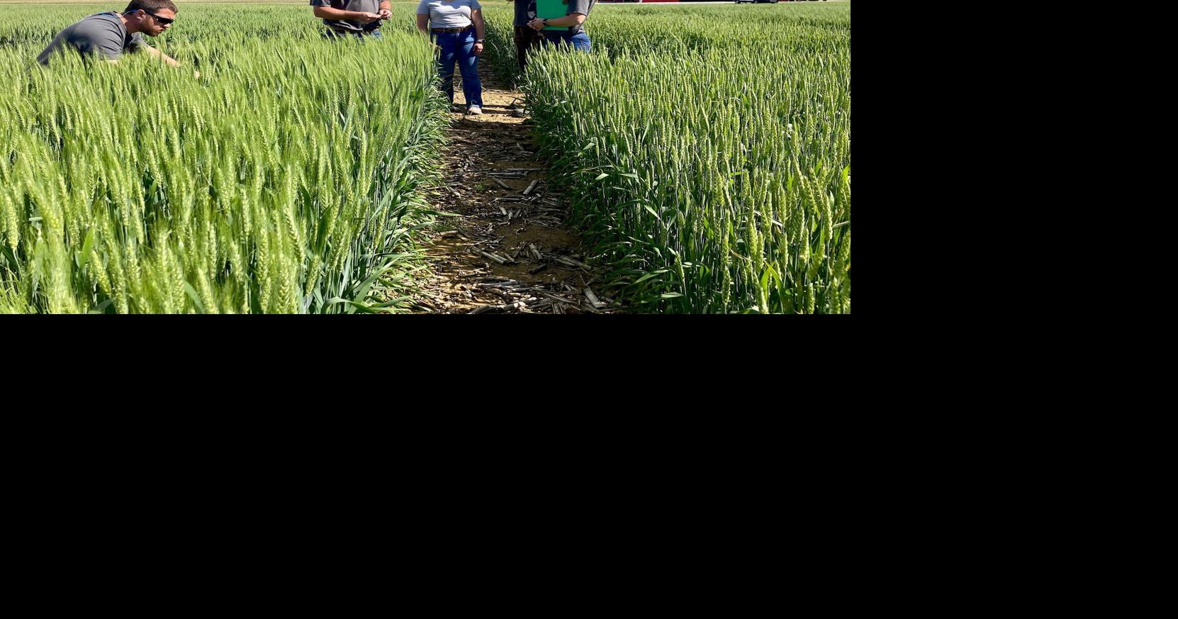 Testing Ground: Daviess County home to Nutrien's oldest innovation farm ...