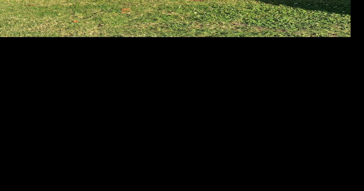 Golf season wraps up with 'good showing' | Mclean County | messenger ...