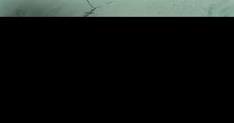 Mary Elizabeth "Liz" Bellew | Obituaries | messenger-inquirer.com