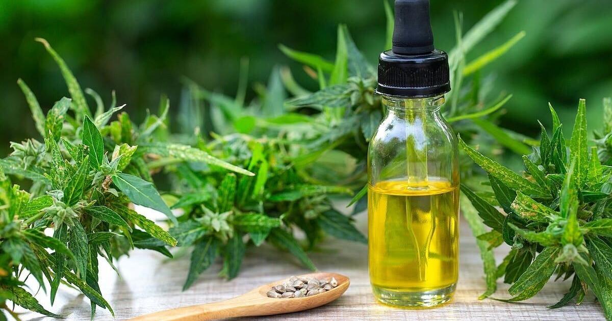 CBD No Good For Pain Relief, Experts Conclude | Health | messenger ...