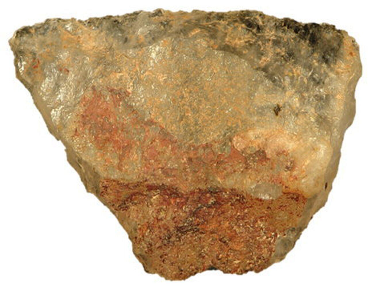 World’s oldest poisoned arrows identified | National News | messenger ...