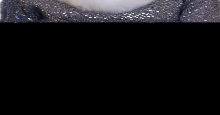 Mrs. Eleanor Birk Sutton | Obituaries | messenger-inquirer.com