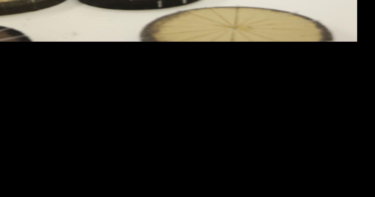 Nuns bake high-end cheesecakes to help support monastery | Religion And ...