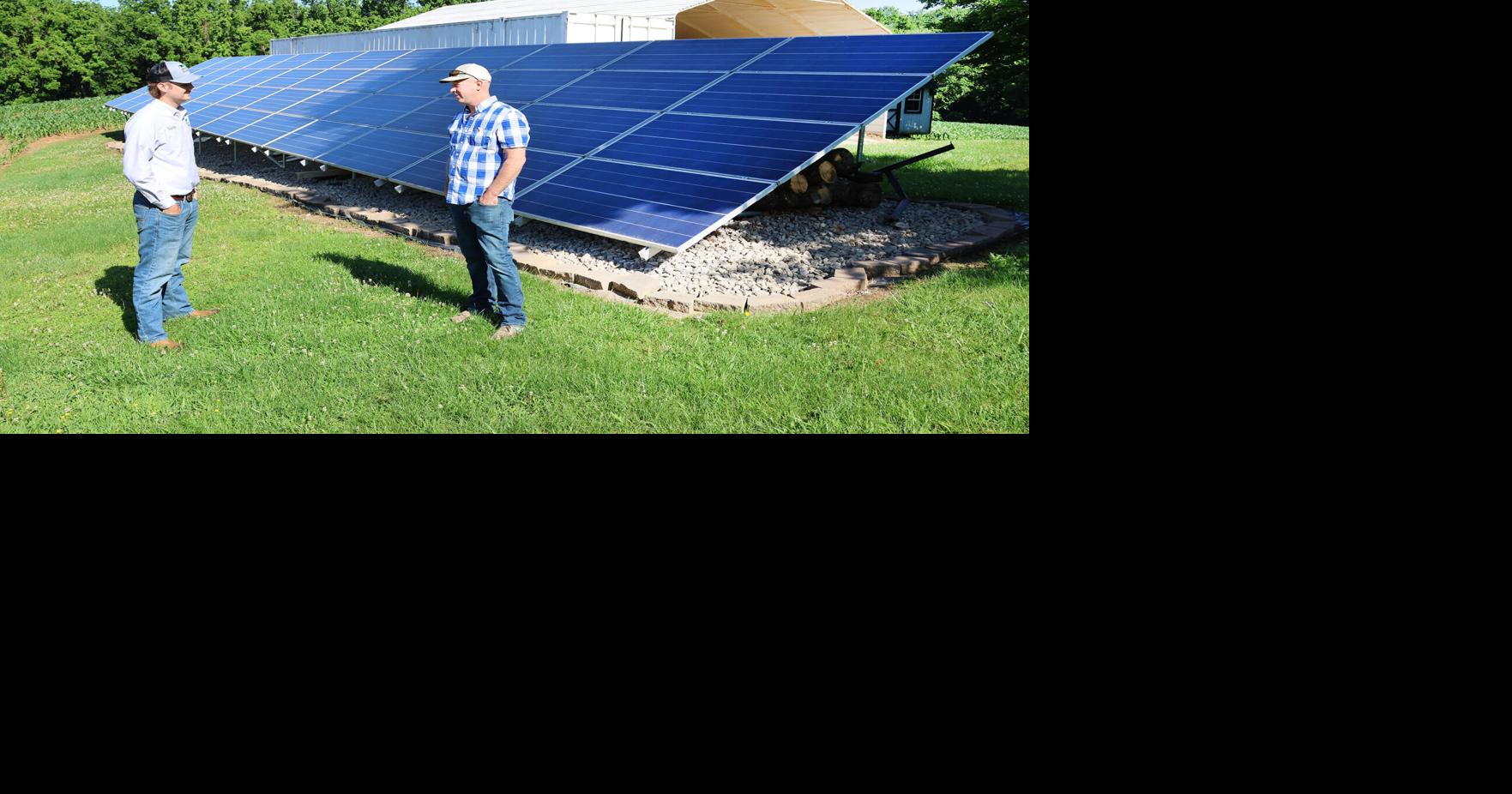 The Favorite Sun: Driven Solar still growing after 7 years | Business ...