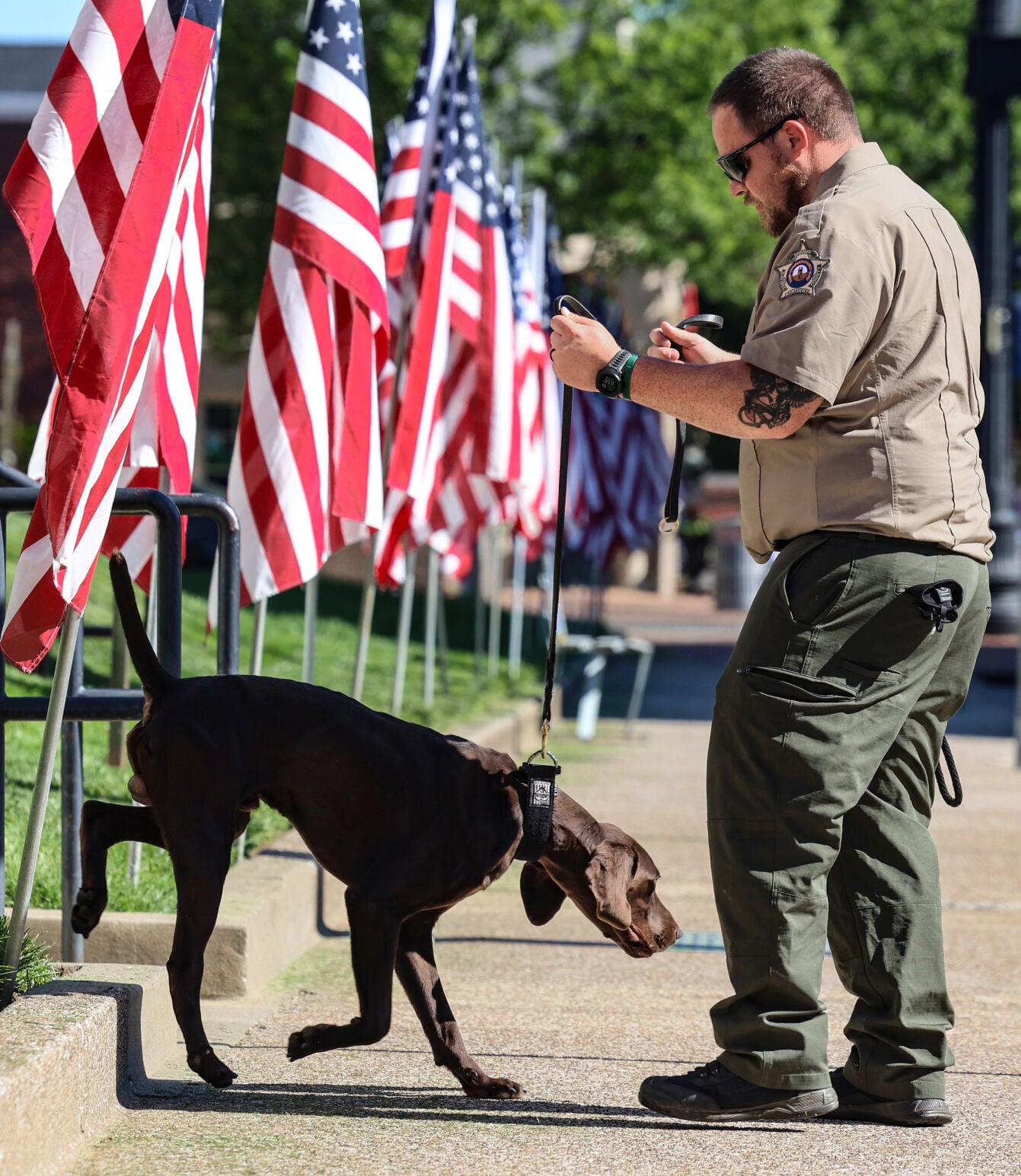 Sheriff's office adds explosives dog to force | Local News | messenger ...