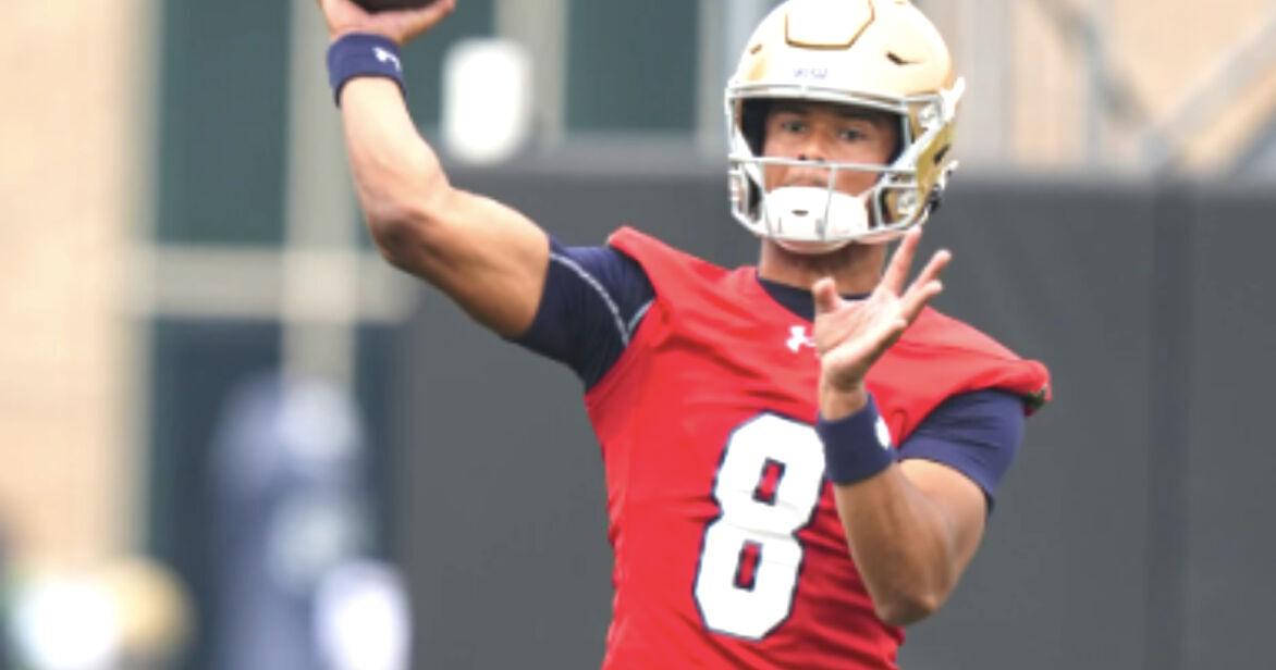 Stein, Cats adding through portal | Local Sports | messenger-inquirer.com