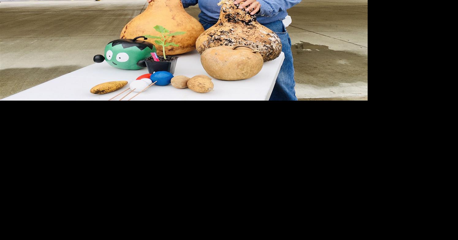 The Gourd Life: Local grower raises gourds for art creations ...