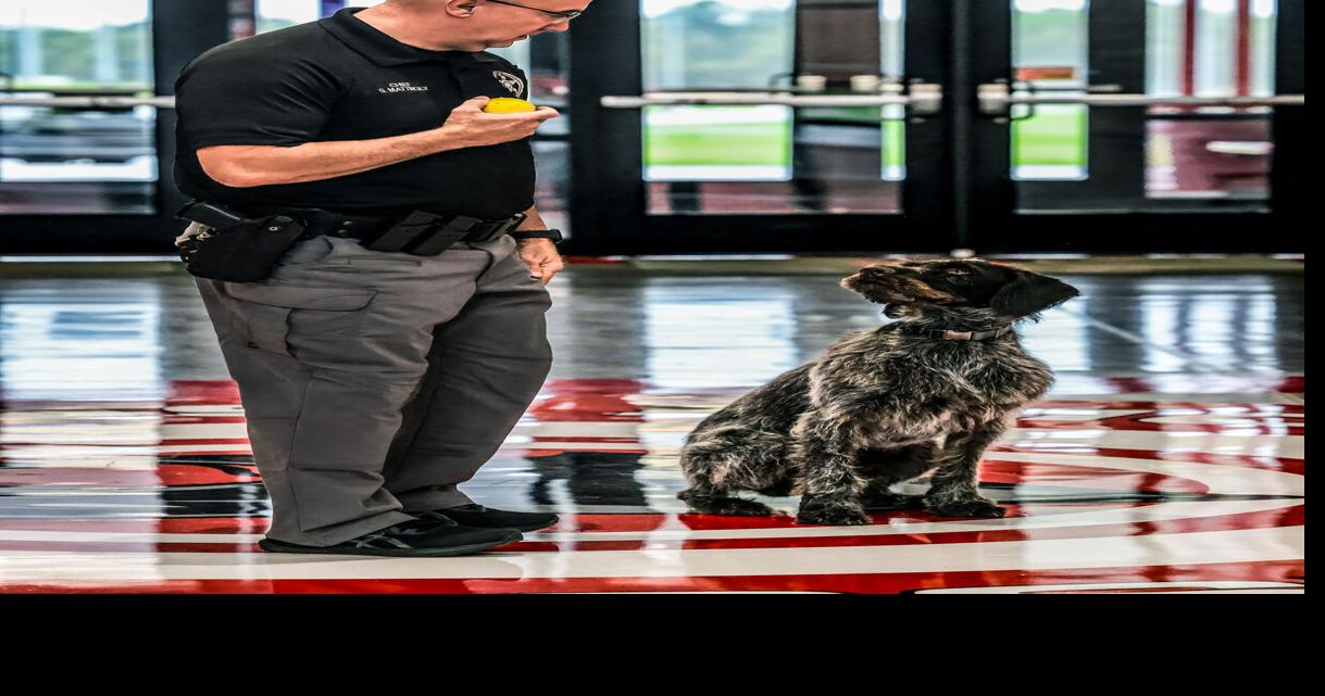 DCPS PD's new K-9 making himself at home at Daviess County Middle ...