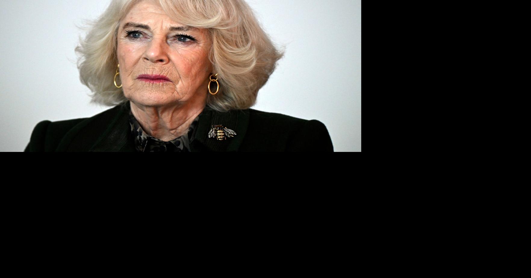 UK's Queen Camilla recalls assault in 1960s as she campaigns against ...