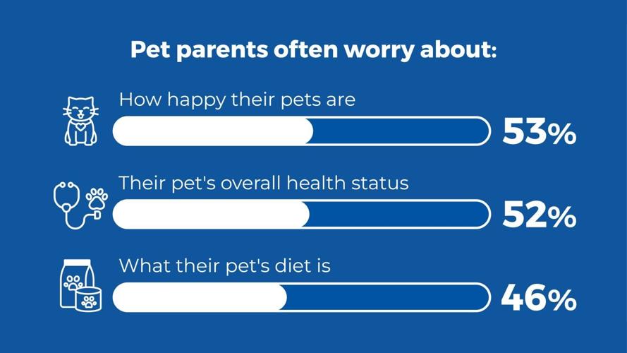 What do pet parents worry about the most? | National News | messenger ...