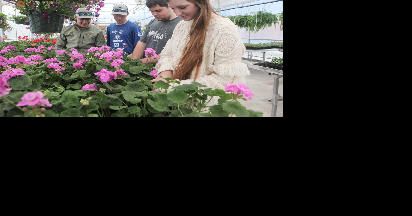 DCPS greenhouses classes prepares students for science, business | News ...