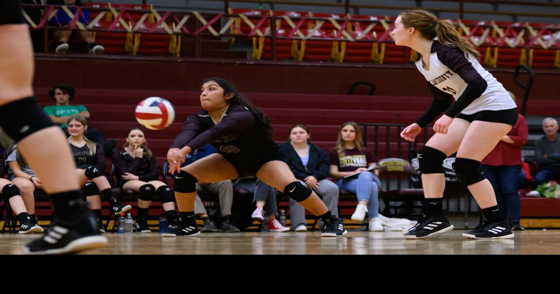 Volleyball team falls on senior night | Mclean County | messenger ...