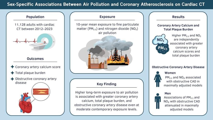 Study warns even moderate levels of air pollution causes heart damage ...
