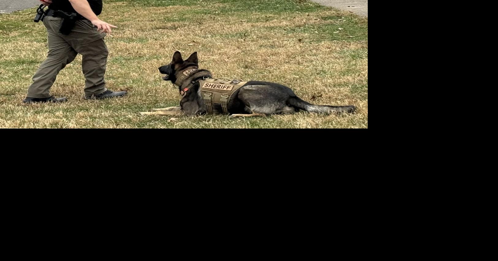 Grayson County Sheriff’s Office to retire K-9 Zeus | News | messenger ...