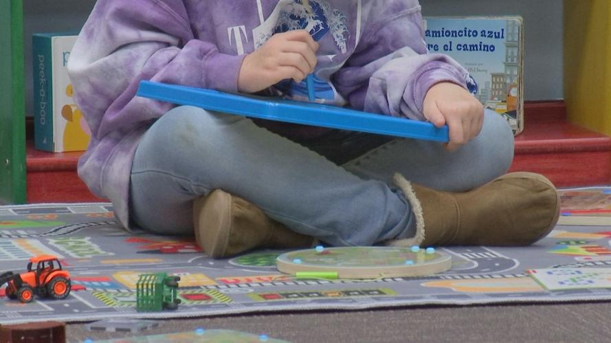 Metropolis Library board speaks about the repercussions of recent ...