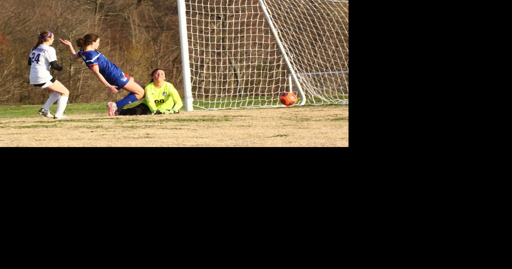 Lady Patriots soccer notching wins | Sports | metropolisplanet.com