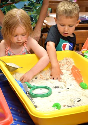 ‘Reading Is Dino-Mite’ this summer at the Metropolis library | News ...