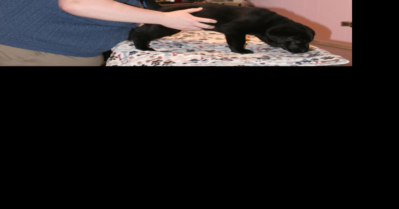 Baker becomes new owner of Beagle's Bay | | metropolisplanet.com