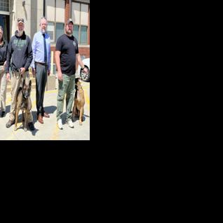 Regional K9 units conduct safety check at VHS | | metropolisplanet.com