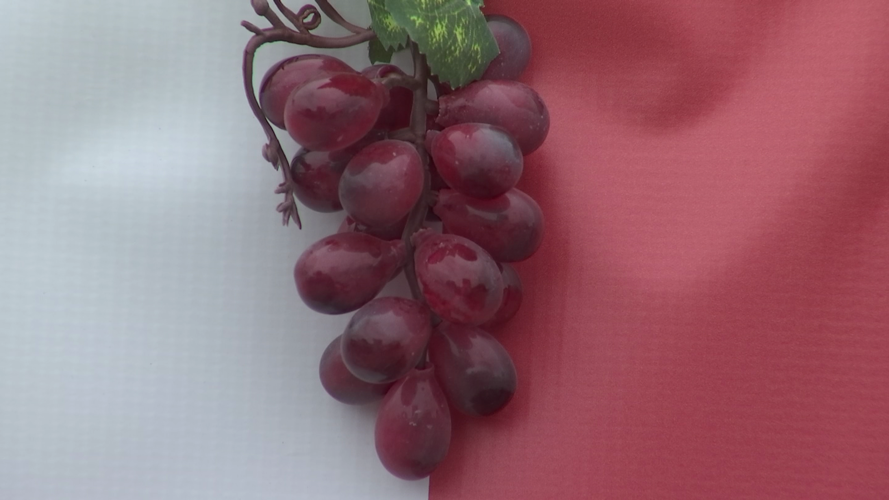 HerrinFesta celebrates heritage and community, hosts competitive grape ...