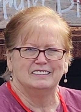 Vicki Ann Thompson | Obituaries | metropolisplanet.com