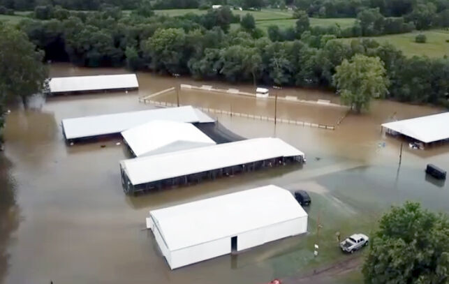 Flooding makes for a memorable youth fair | News | metropolisplanet.com