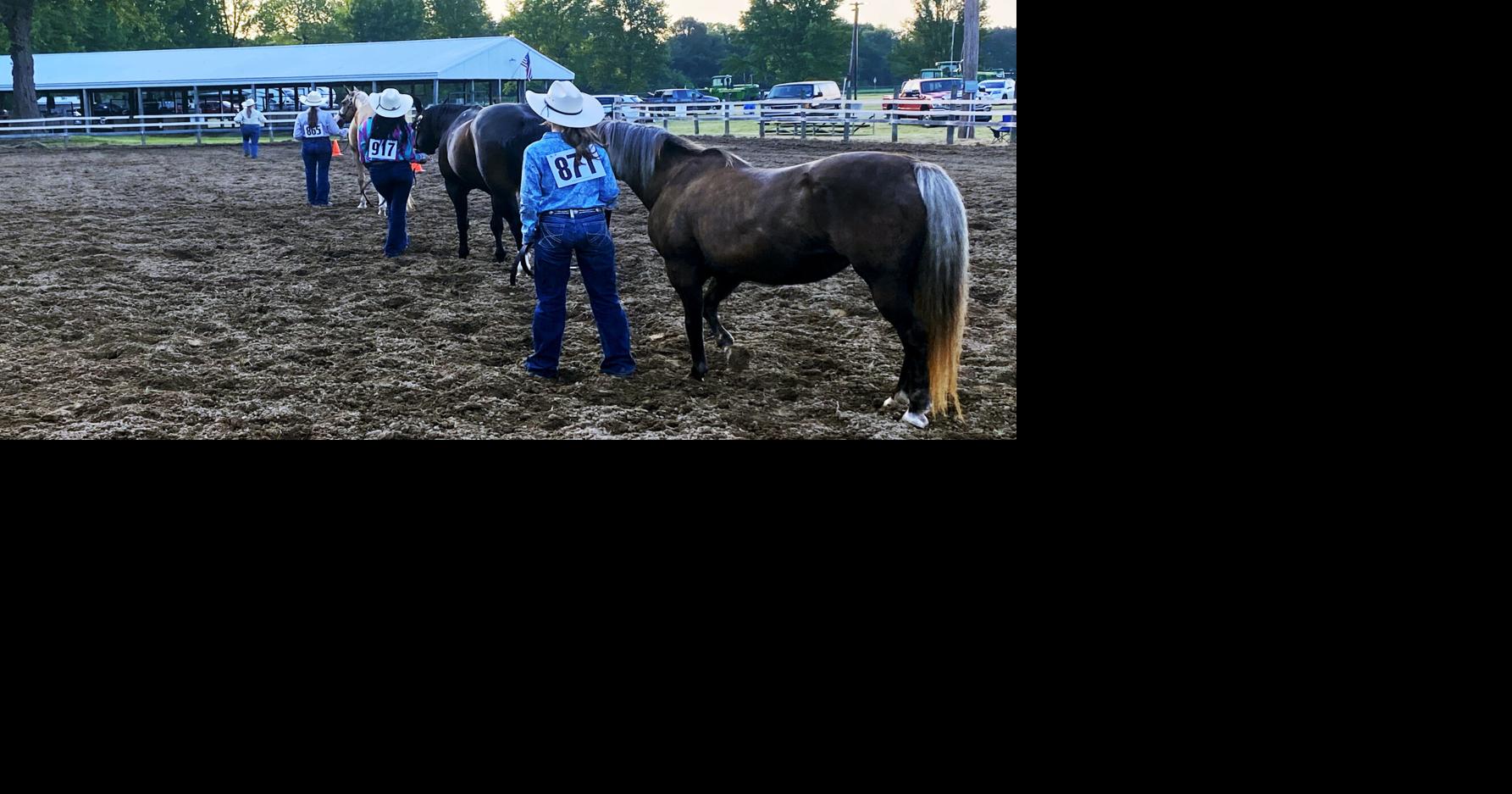 Youth Fair announces Massac County 2024 champions | | metropolisplanet.com