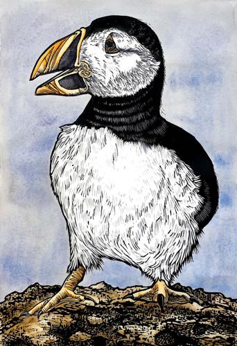 Puffin-themed art installation opens at Waterfall Arts | Arts ...