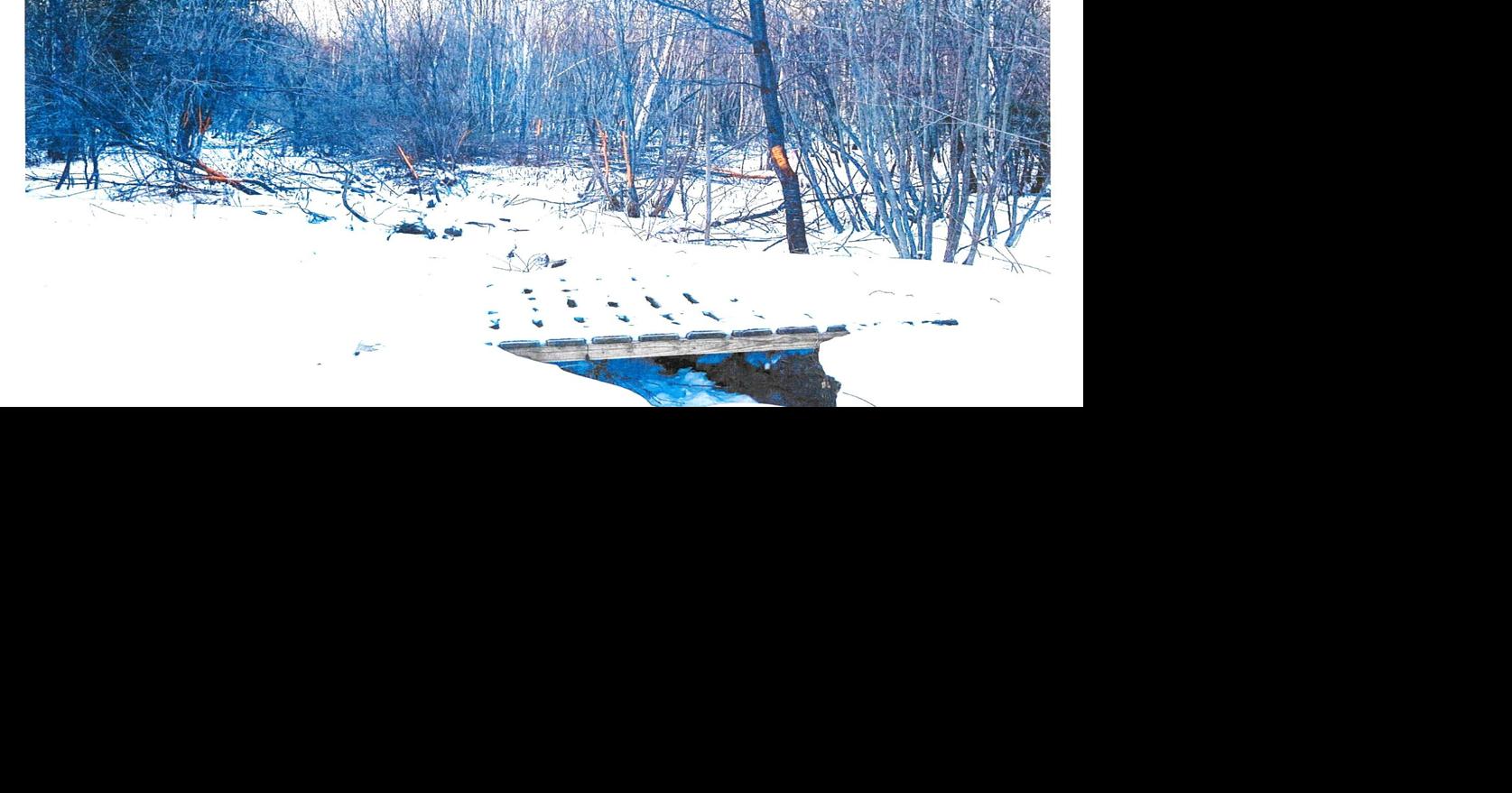 Widoff, Ouellet Victors in Freedom Vote | News | midcoastvillager.com