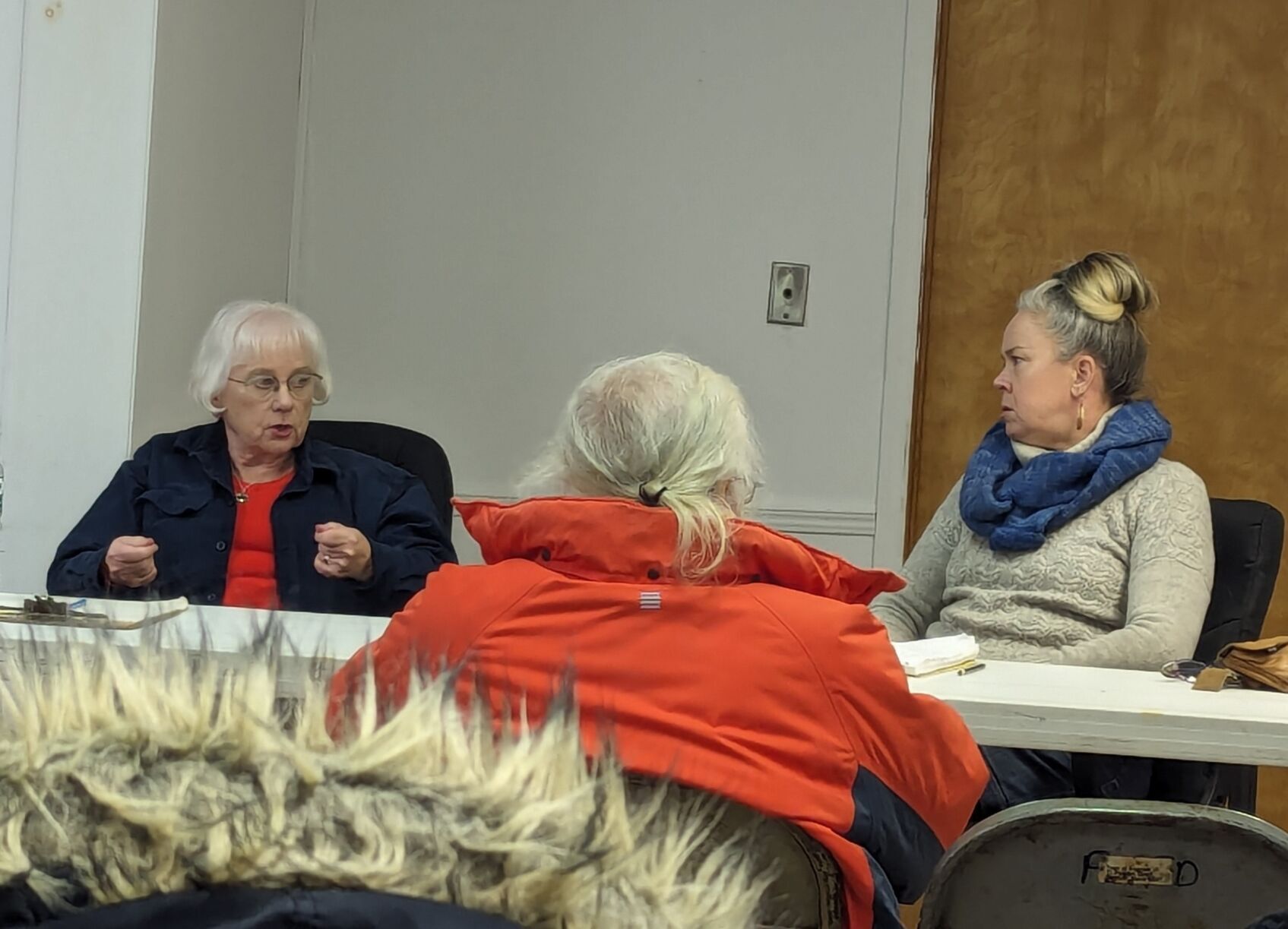 A Retired Actress, a Can of Spray Paint and a Recall Election | News ...