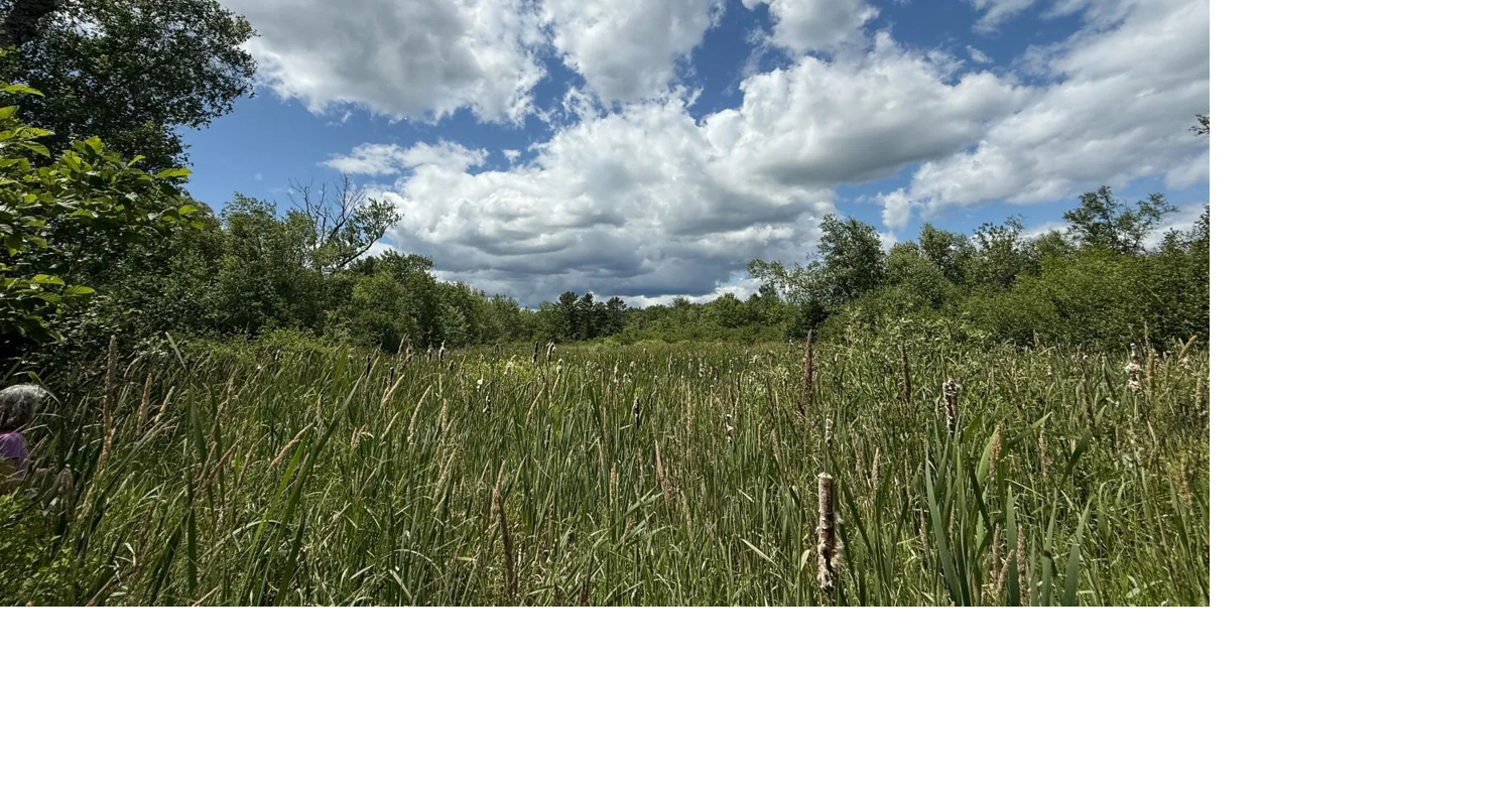 A Shady Land Deal in Belfast as a Conservation Easement Goes Missing ...