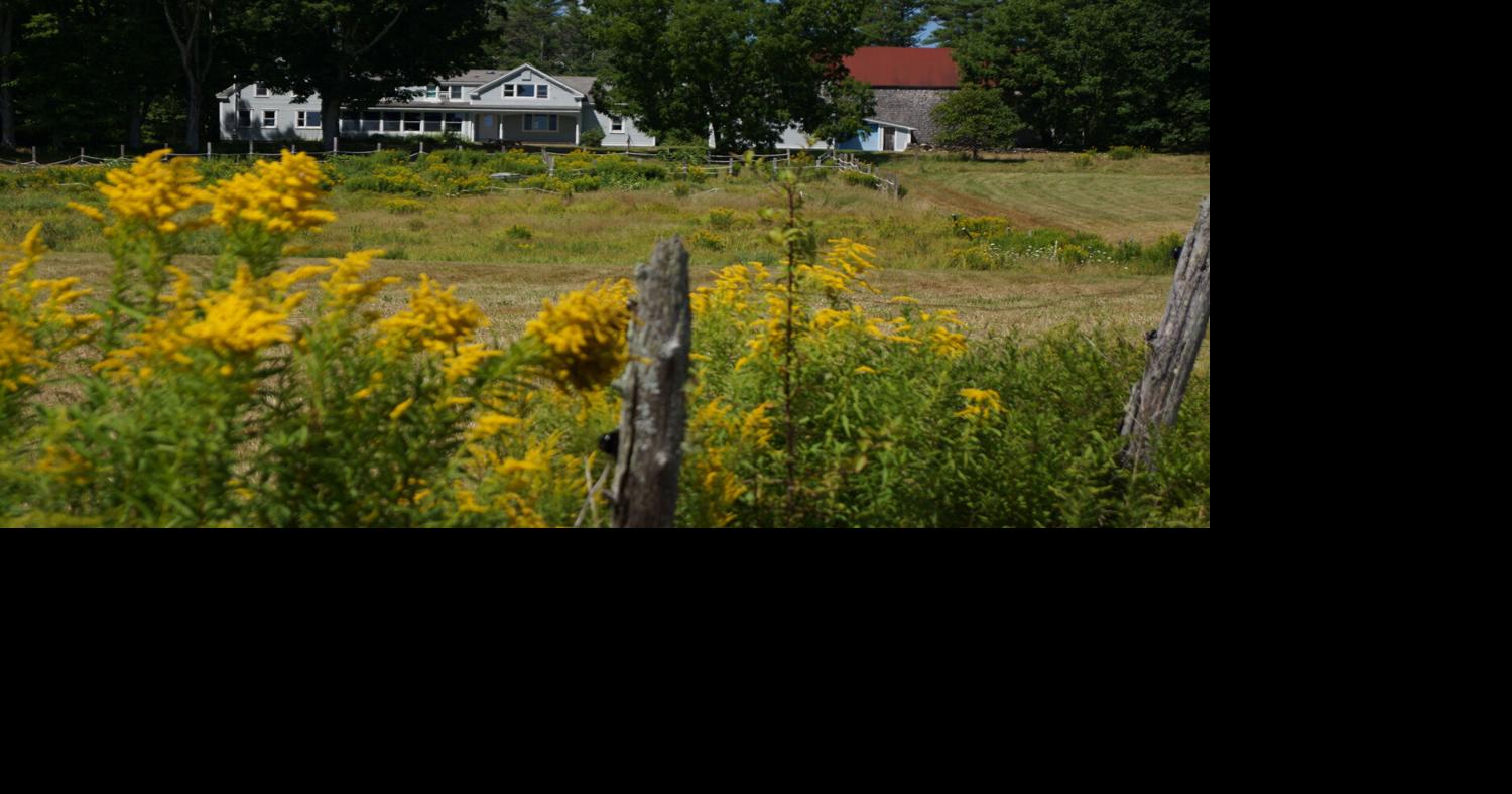 Residencies offered at Joseph A. Fiore Art Center | Arts ...