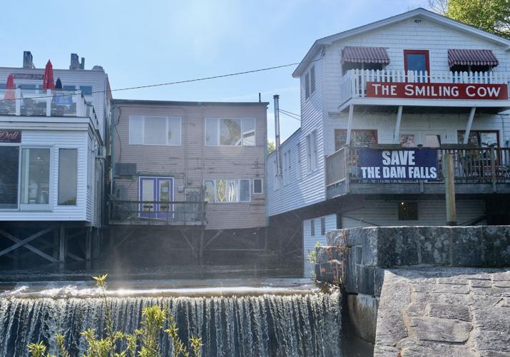 New Spring Bloom in Camden: Those Dam Signs | Camden Villager ...