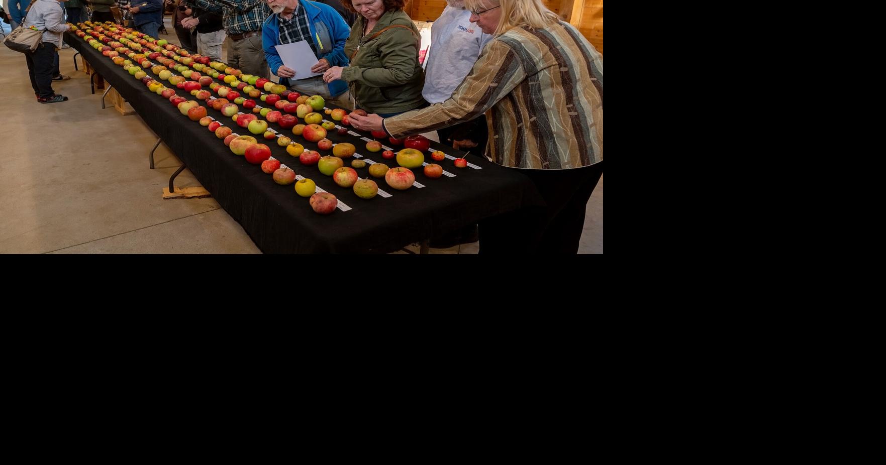 MOFGA Holds Great Maine Apple Day in Unity | Through The Lens ...