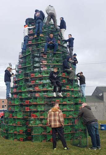 A Lobster Trap Tree Grows in Rockland | News | midcoastvillager.com