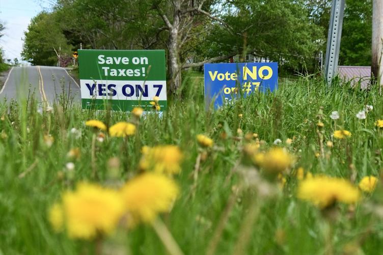 New Spring Bloom in Camden: Those Dam Signs | Camden Villager ...