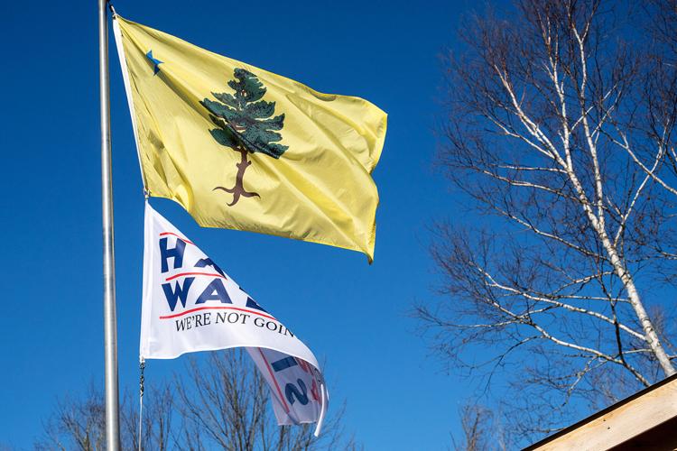 Washington's Flag Pioneer | Villagers | midcoastvillager.com