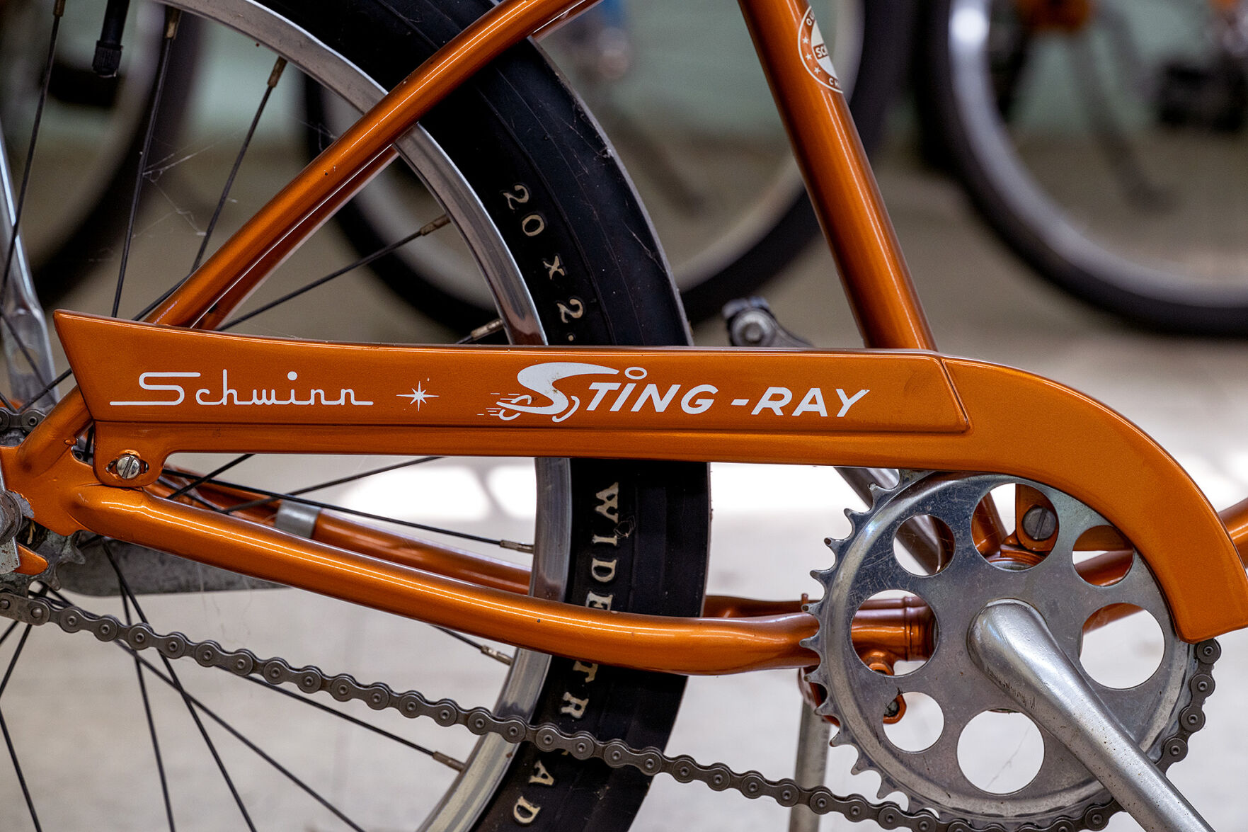 Lincolnville’s Sting-Ray Steward | Villagers | midcoastvillager.com