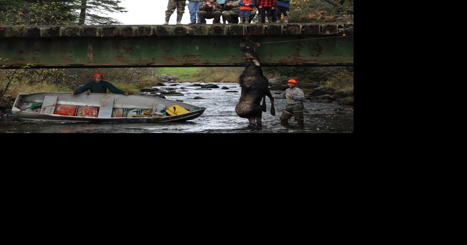 Monroe News: Hunting Success: Ashlie Got Her Moose | Waldo County ...