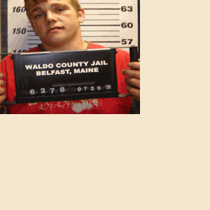 Man charged in fork stabbing pleads guilty to assault | News ...